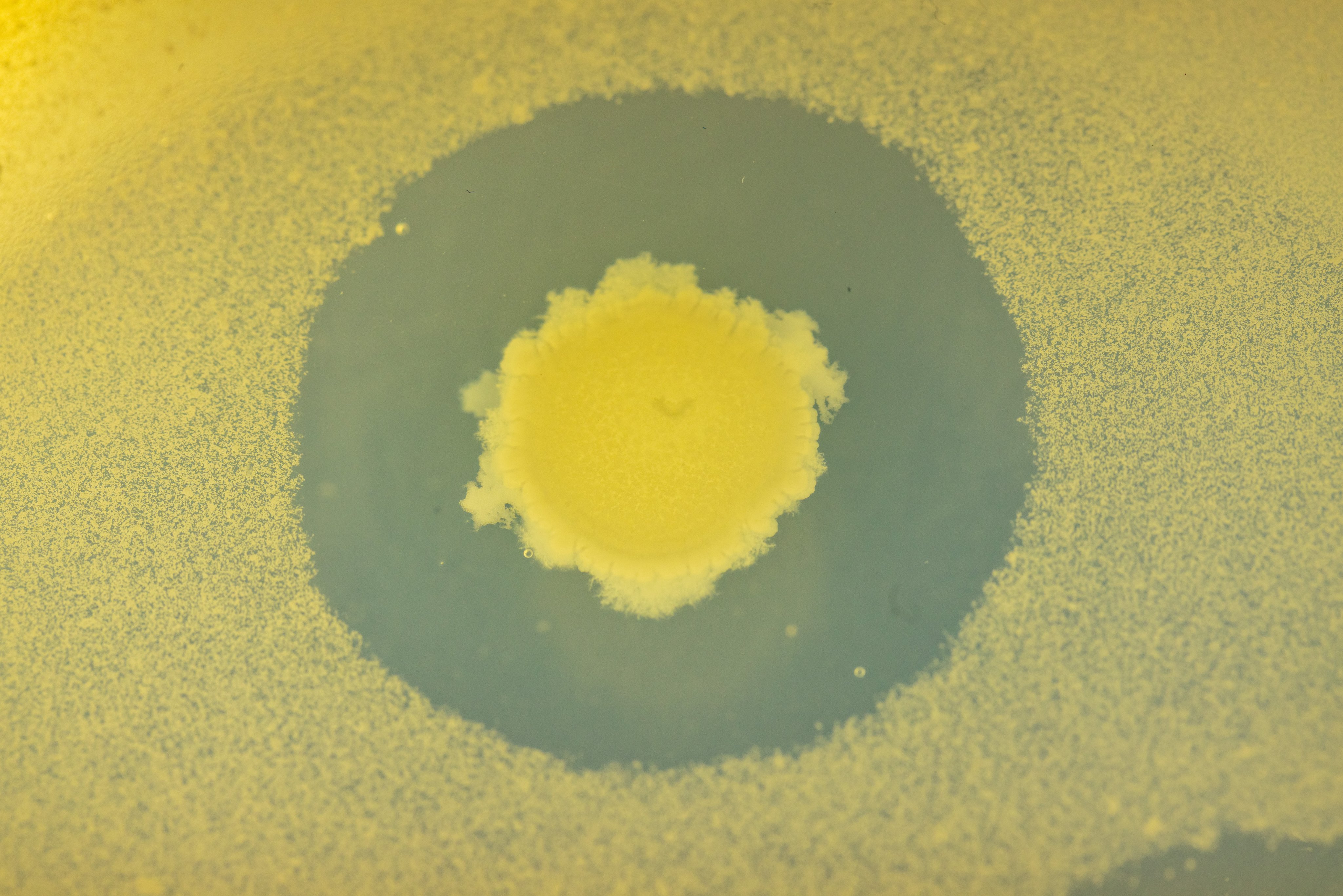 Adaptive Biological Technology