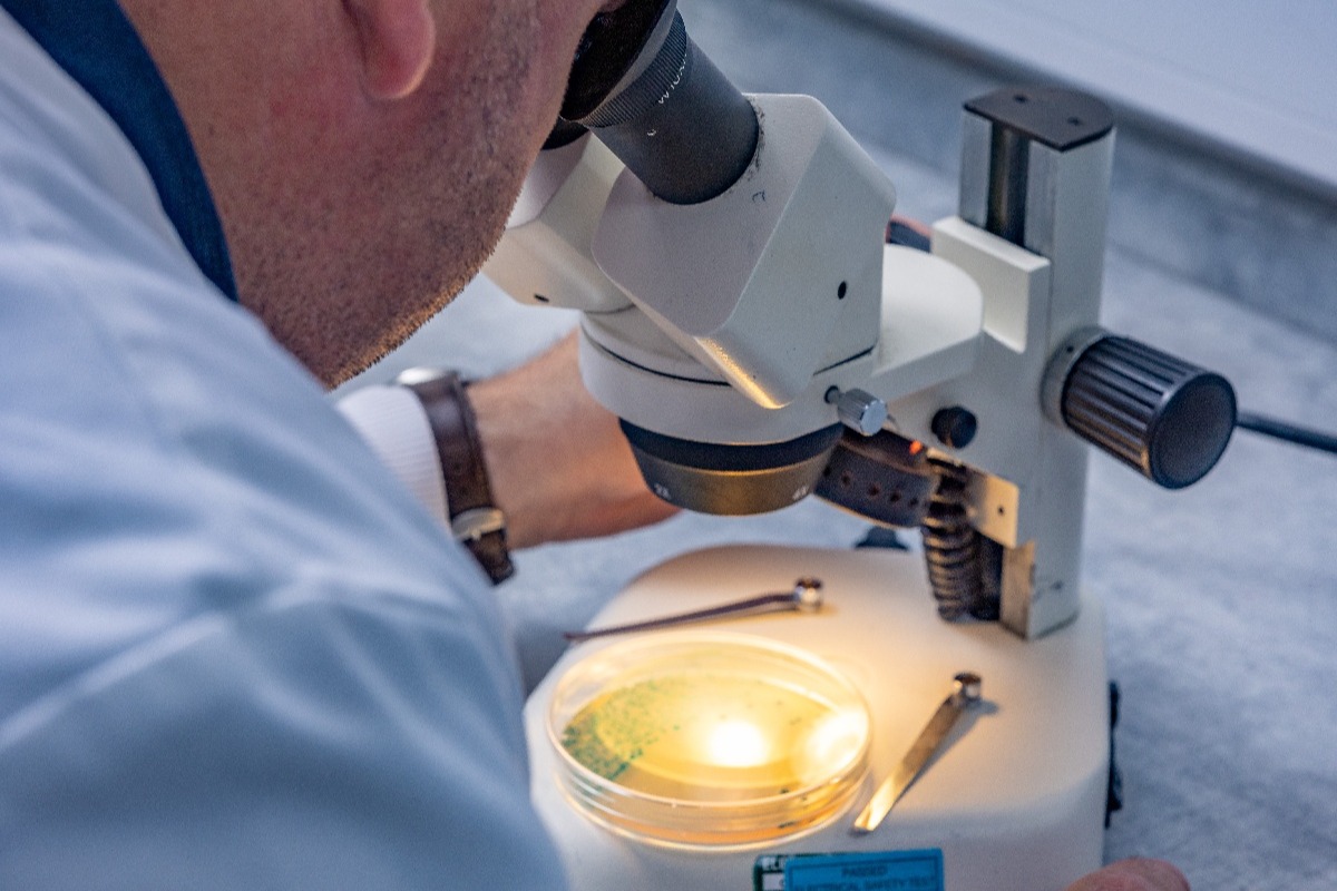 Bespoke Solutions - Own Label