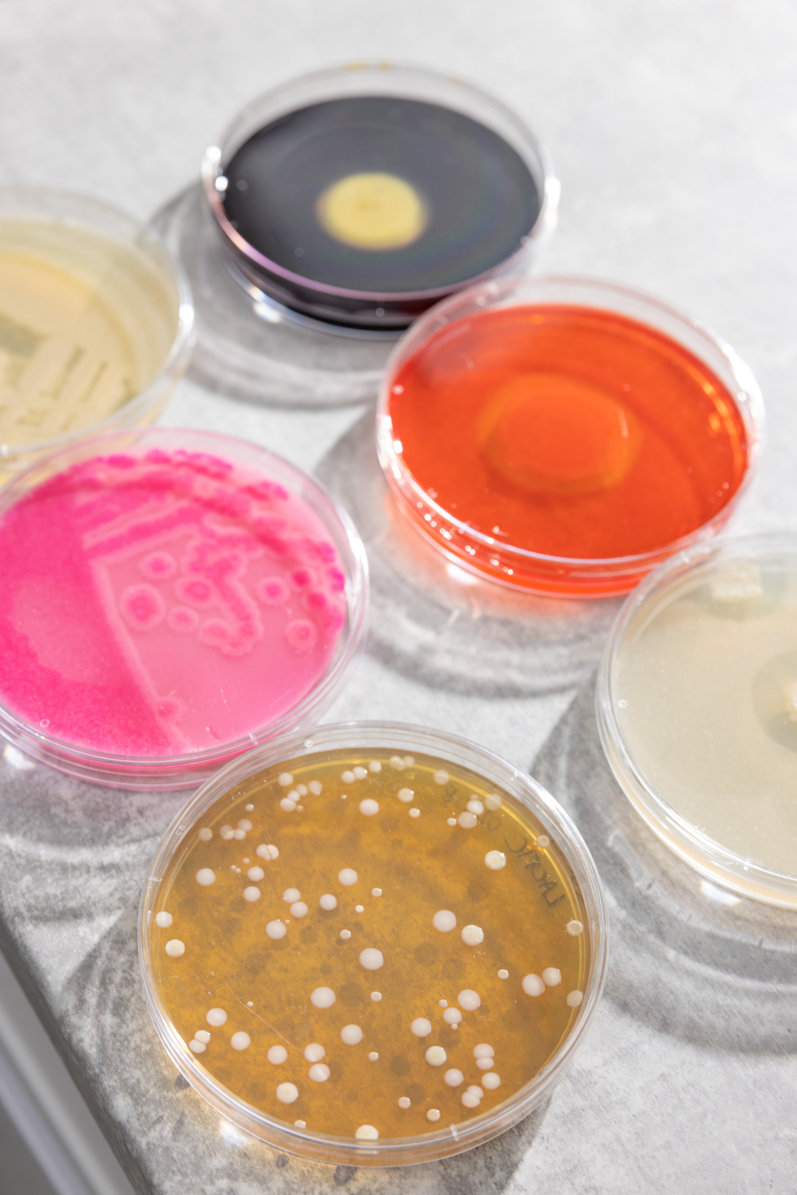 Adaptive Biological Technology