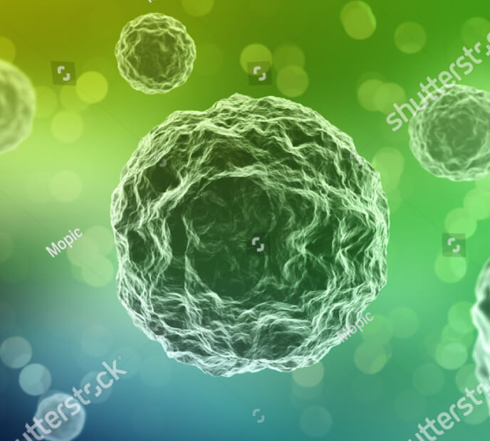 BioHygiene - Cleaner